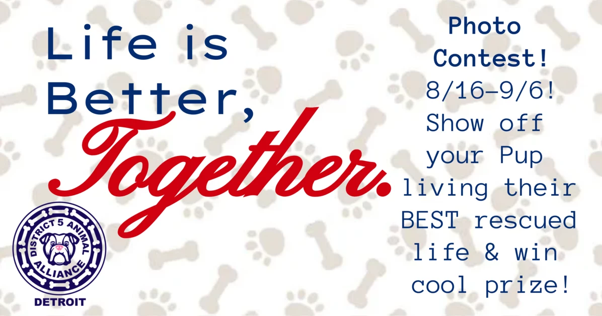 Life is Better, Together- Rescued LIFE Photo Contest!